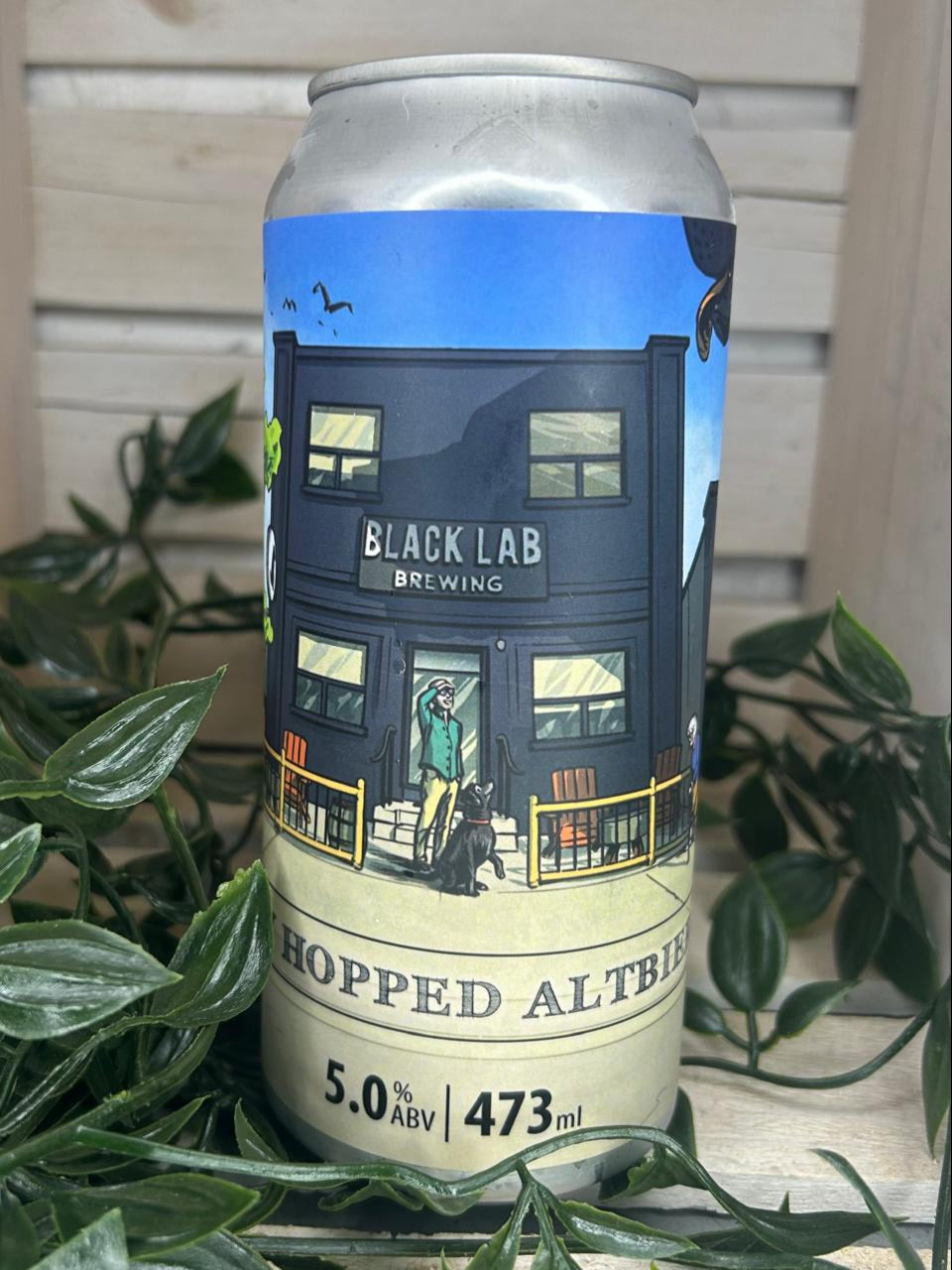 Dry Hopped Altbier (473ml Can) – Black Lab Brewing