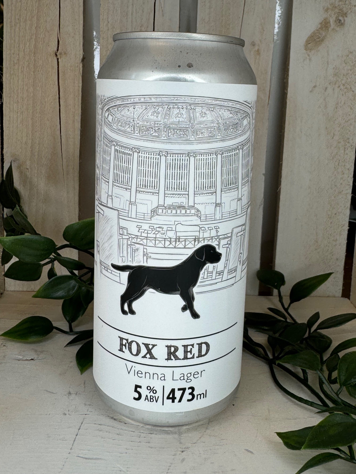 Fox Red Vienna Lager (473ml Can) – Black Lab Brewing